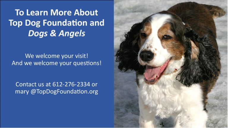 Pet Trusts & Plans - Top Dog Foundation