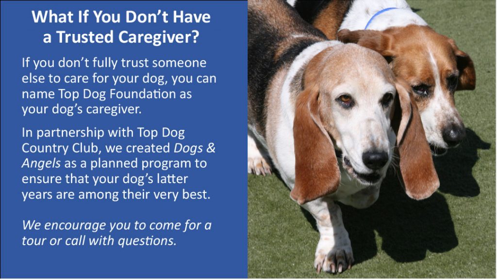 Pet Trusts & Plans - Top Dog Foundation